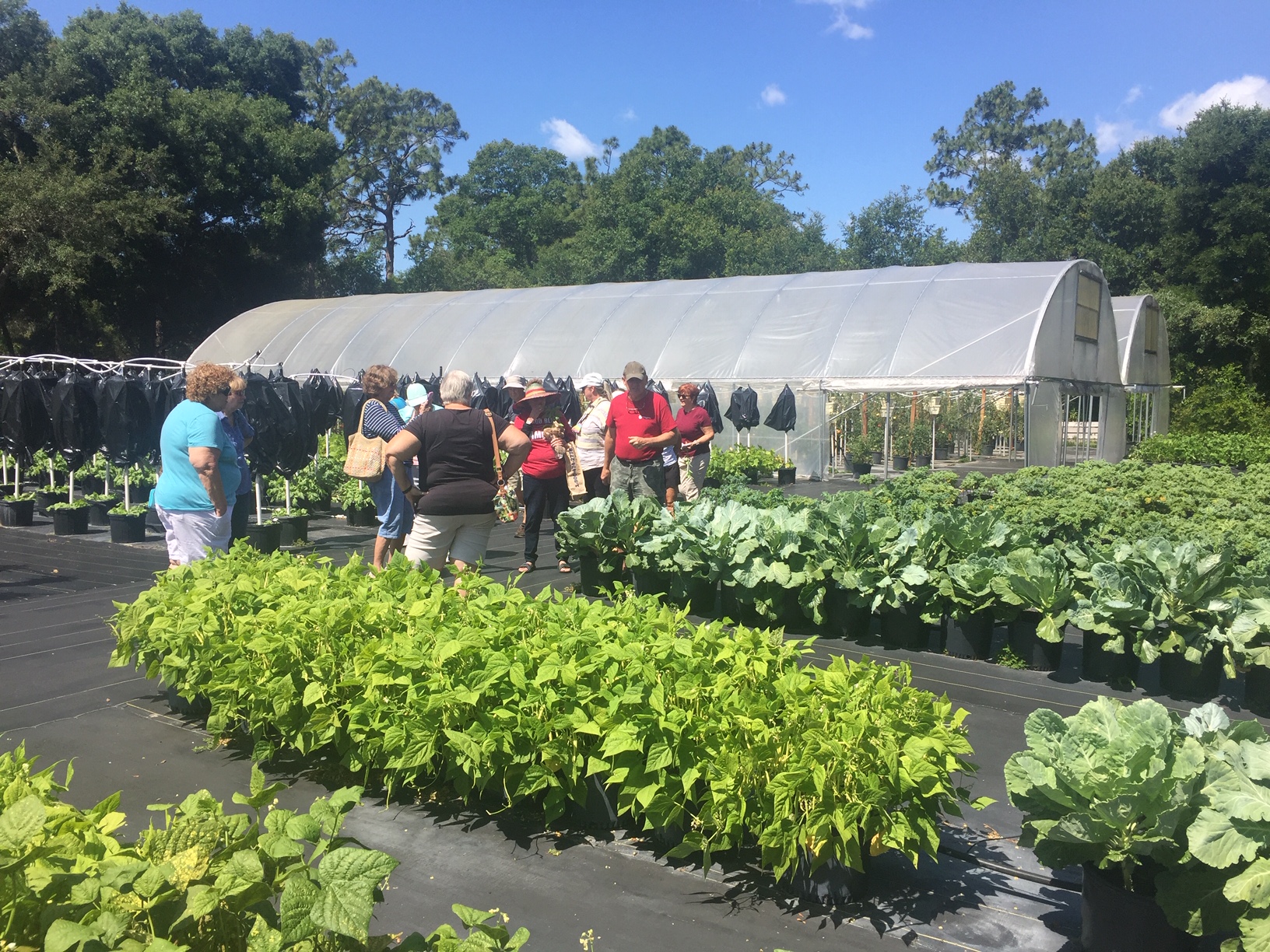 Pictona Garden Club Visits Common Ground Farm in DeLand - Pictona